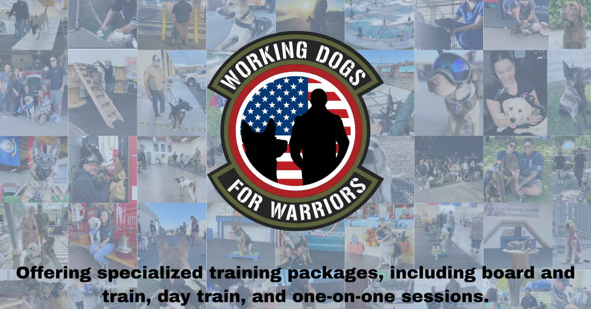 Working Dogs for Warriors Training Packages