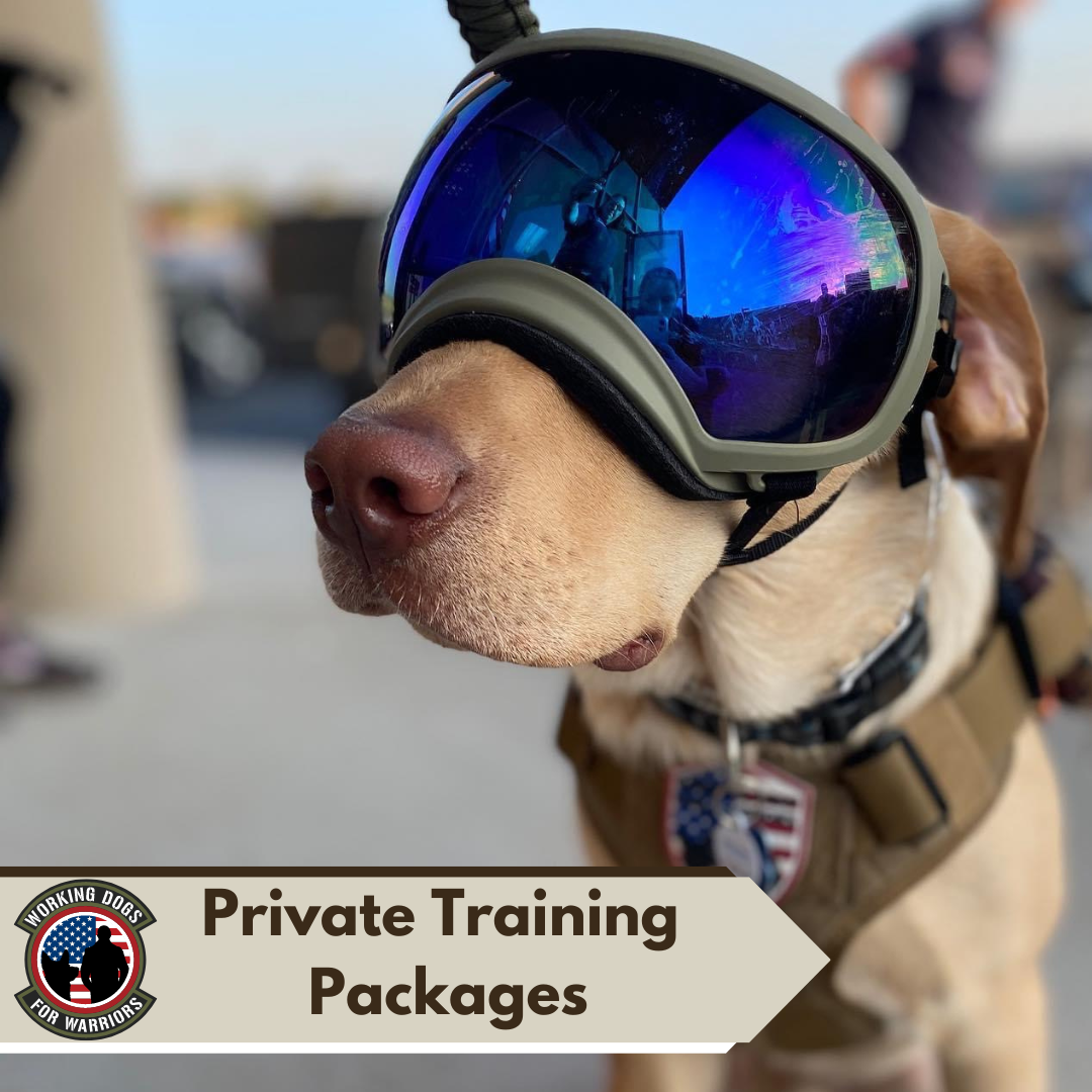 Working Dogs for Warriors Training Packages