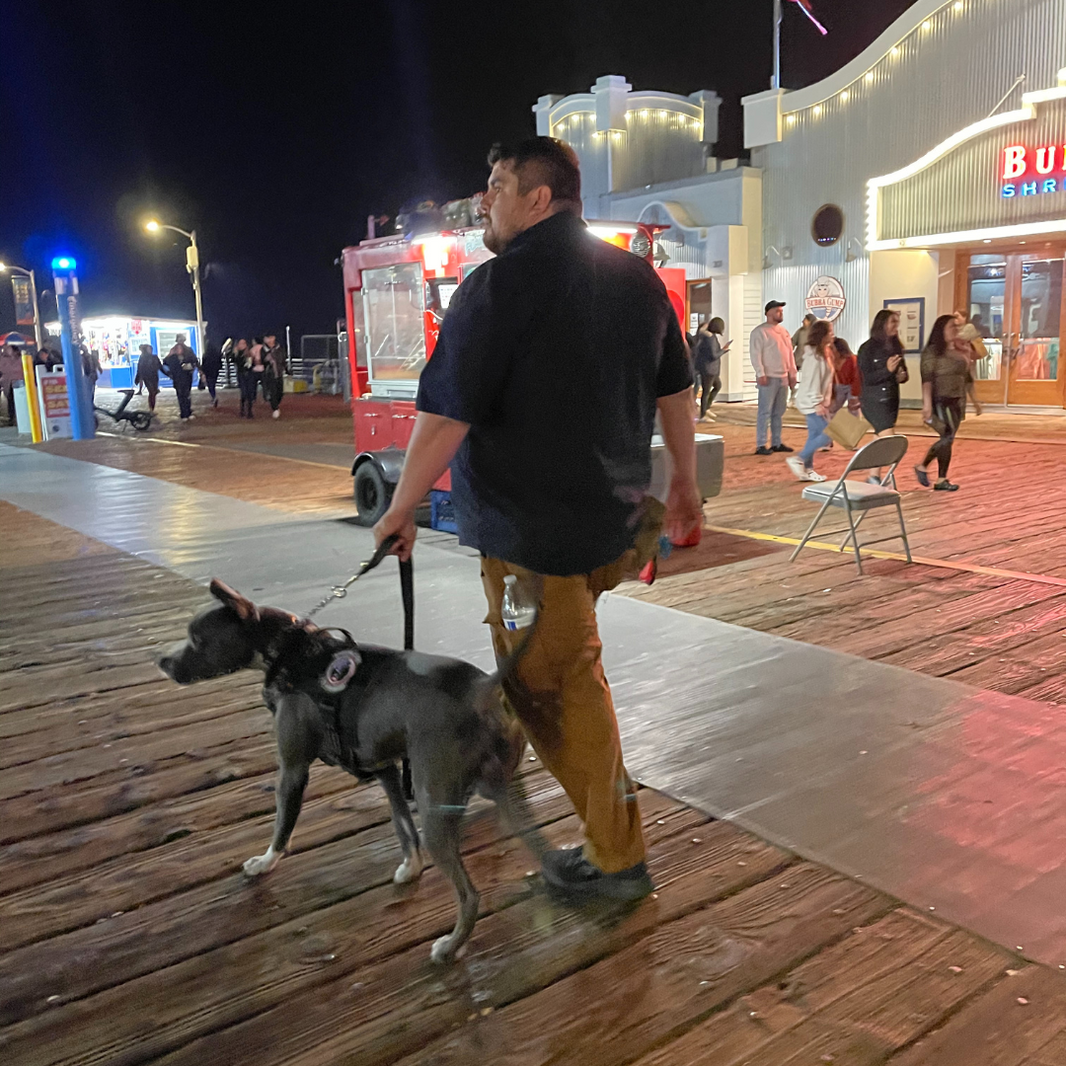 Products – Working Dogs for Warriors
