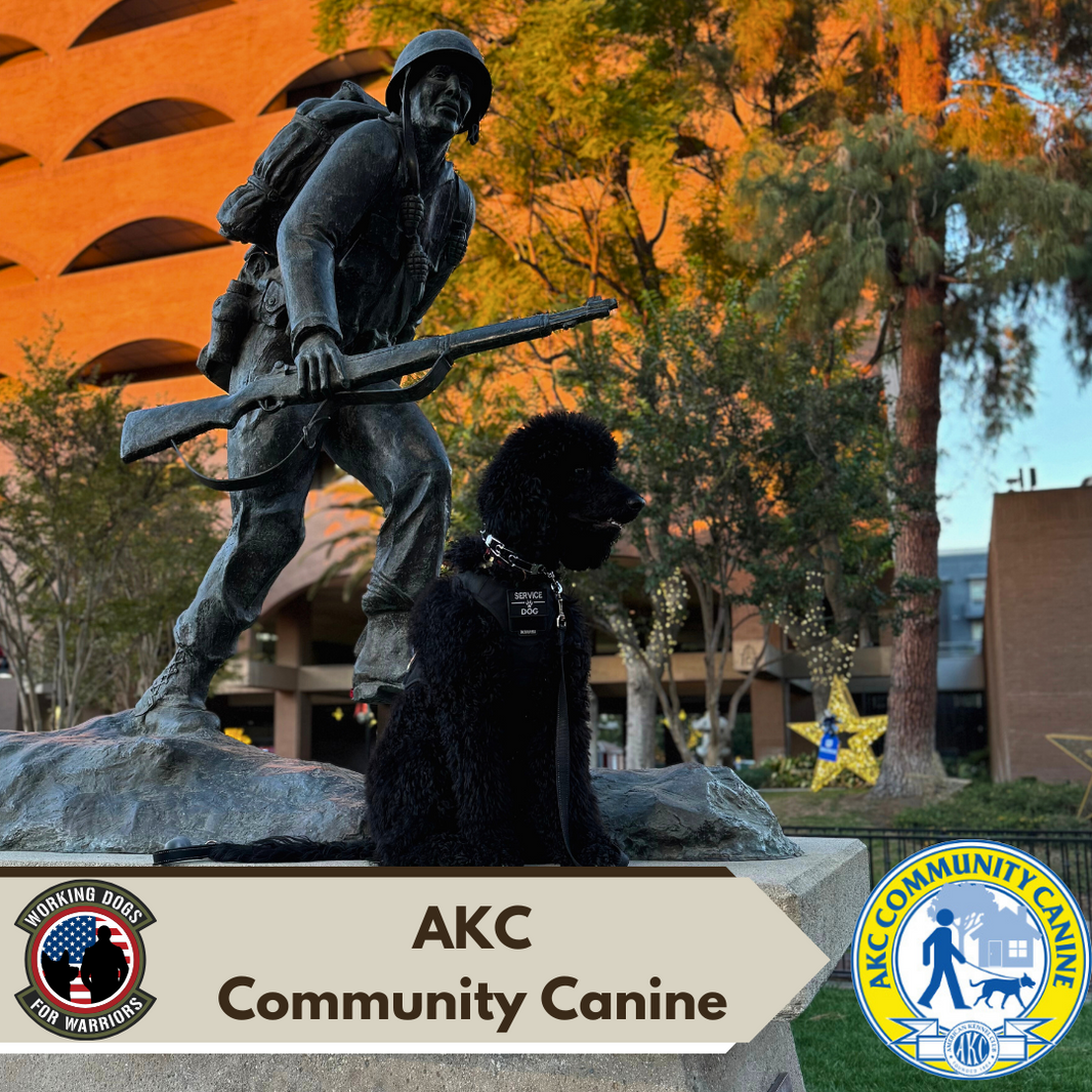 Working Dogs for Warriors Training Packages