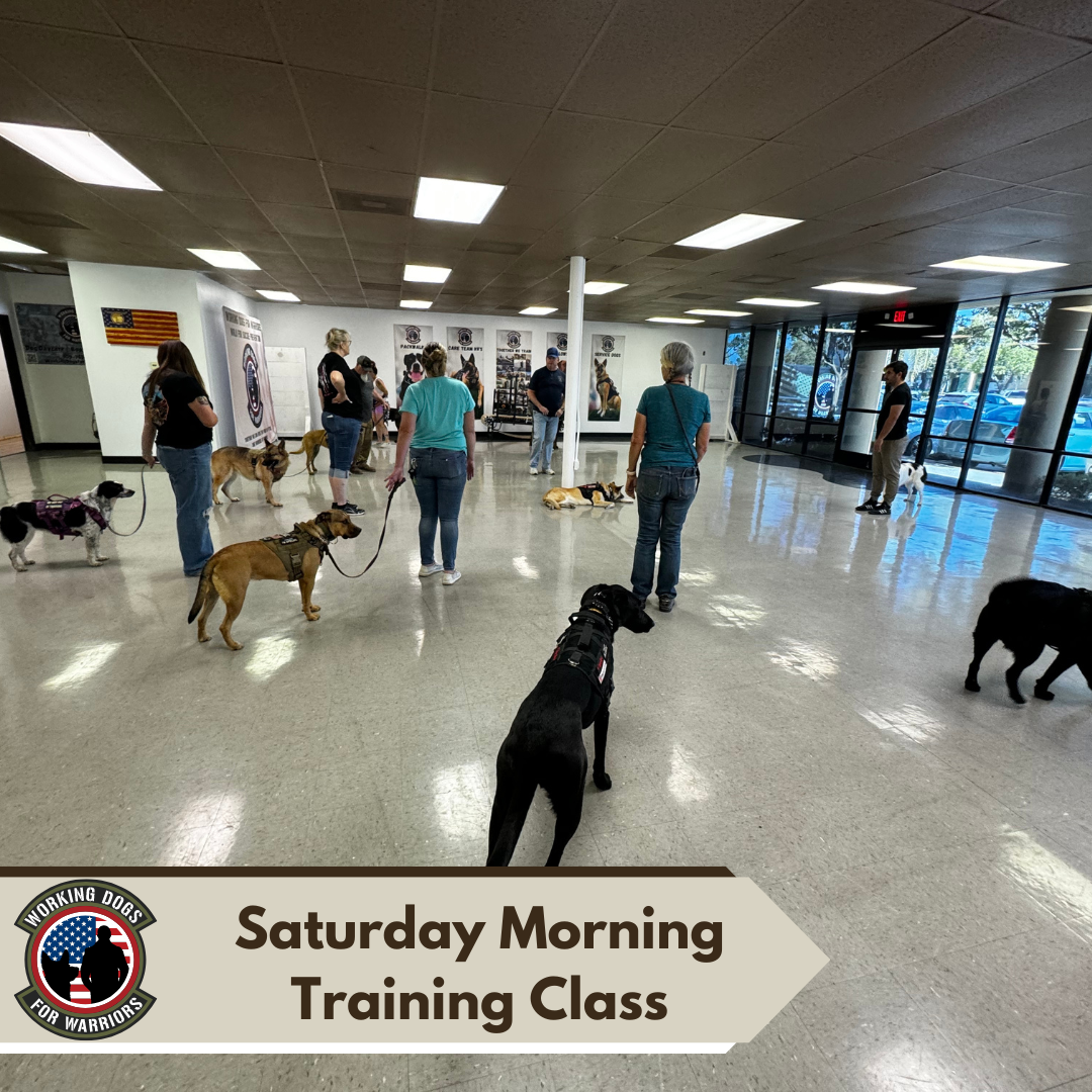 Saturday Morning Training Class 10:30AM – Working Dogs for Warriors