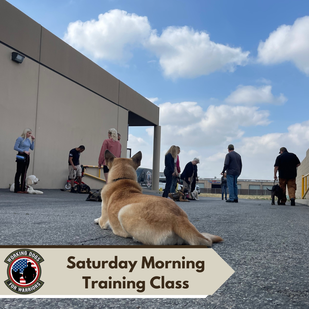 Saturday Morning Training Class – Working Dogs for Warriors